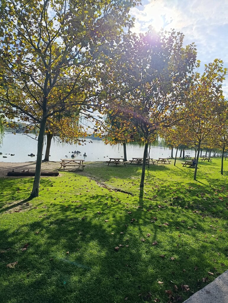 Piknik alanı Gölbaşı Piknik Alanı, Çorlu, foto