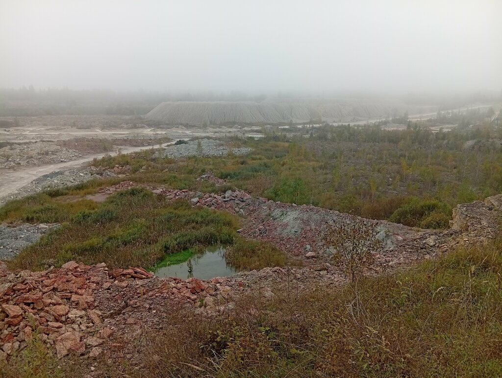 Sanayi kuruluşu Новоизборский комбинат нерудных материалов, Pskovskaya oblastı, foto