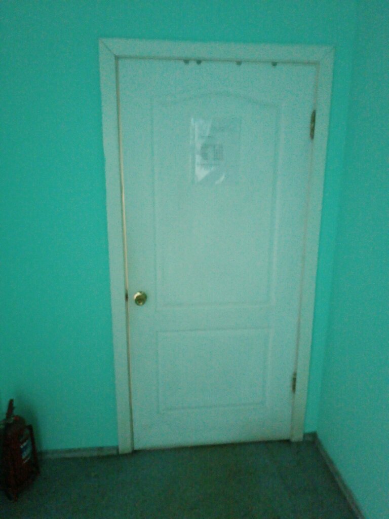 Terziler Исполинский козодой, Kazan, foto