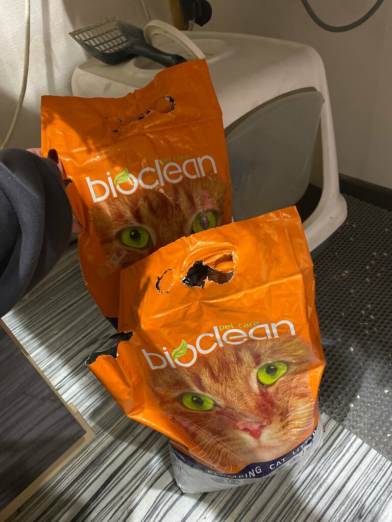 Evcil hayvanlar için ürünler БиоКлин, Minskaya oblastı, foto