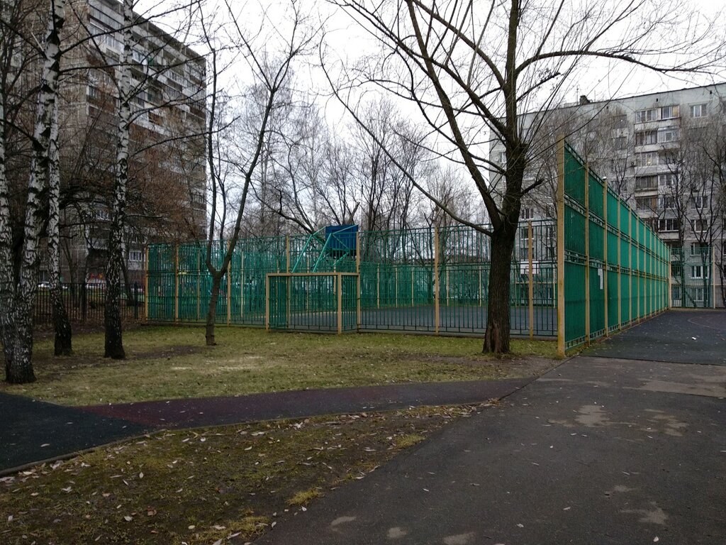 Spor alanı Sports activity location, Moskova, foto