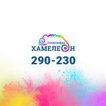 Хамелеон (Zosimovskaya ulitsa No:40), matbaalar  Vologda'dan