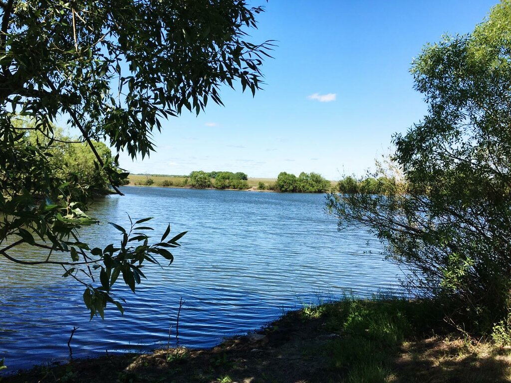 Balık çiftçiliği ve toptancıları Recreation area Ozersky pond, Penzenskaya oblastı, foto