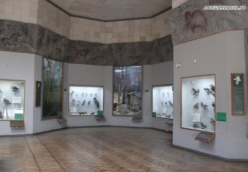 Müzeler ve sanat galerileri Natural Science Museum of the Ilmensky State Reserve, Çeliabinskaya oblastı, foto