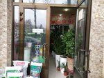 Gardening shop (Shota Rustaveli Street No:120), bahçecilik mağazaları  Taşkent'ten
