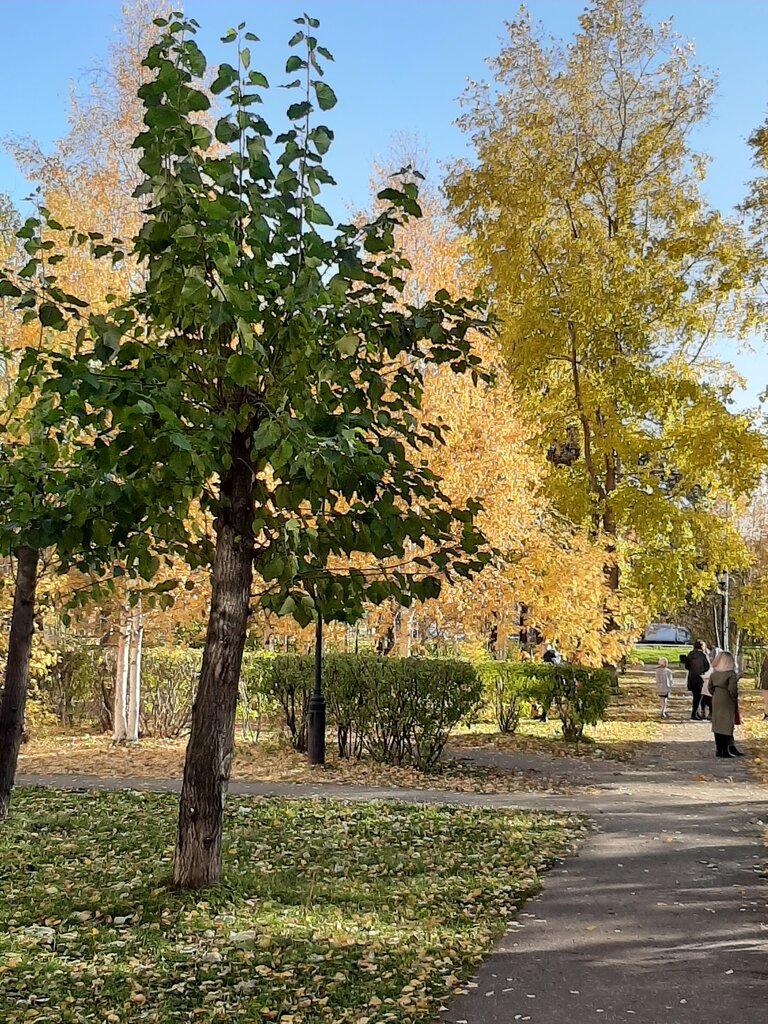 Kültür ve eğlence parkları Xalqlar doʻstligi xiyoboni, Surgut, foto