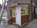 Shoe Repair (Samarkand, Lochin ko‘chasi), ayakkabı tamiri  Semerkant'tan