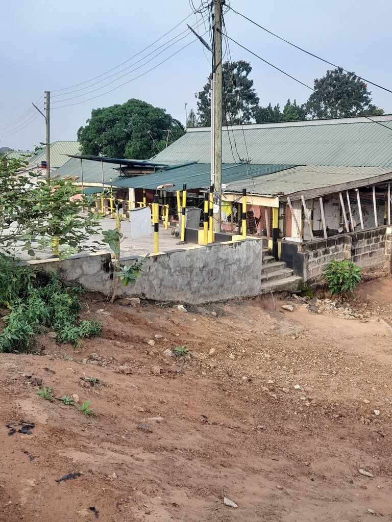 Dondurulmuş gıda firmaları Charlieboy enterprise, Dünya, foto