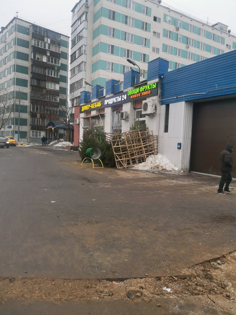 Çam ağacı pazarı Ёлочный базар, Moskova, foto