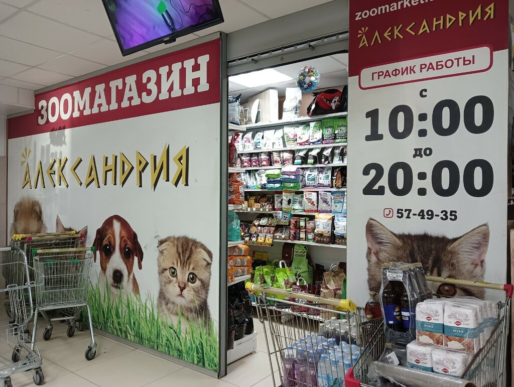 Petshop Alexandriya, Tomsk, foto