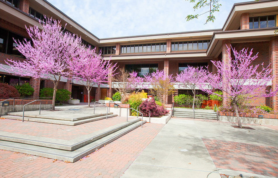 Özel muayenehaneler Ben Schwab, Md, Walnut Creek, foto