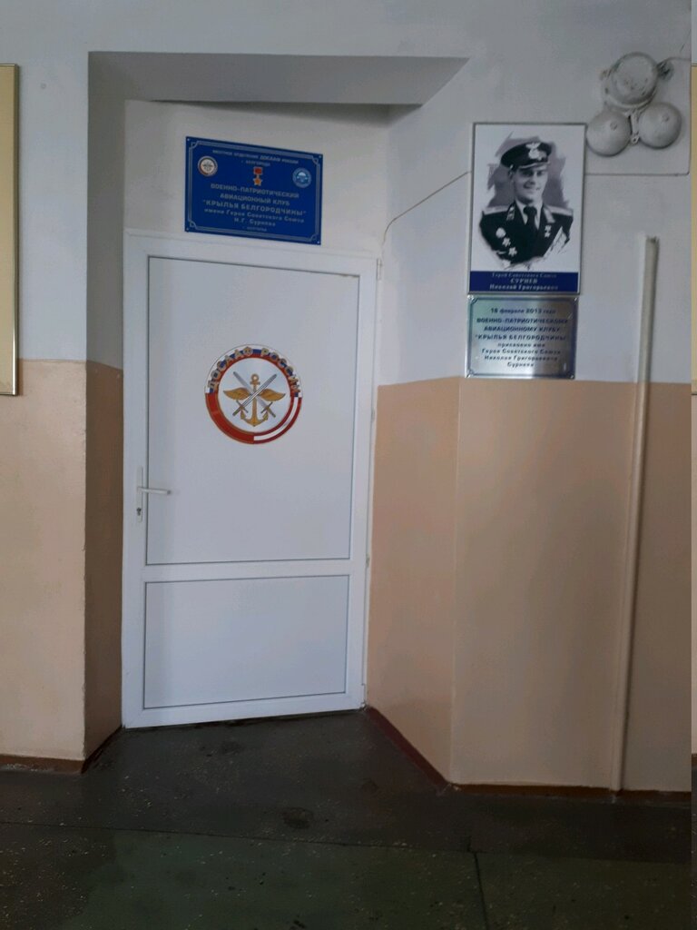 Sivil toplum kuruluşları Крылья Белгородчины, Belgorod, foto