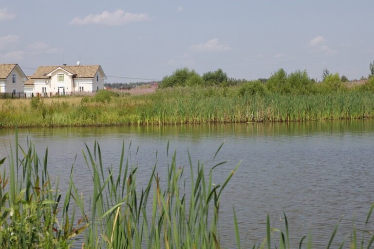 Bahçecilik dernekleri ve kuruluşları Садовое некоммерческое товарищество Эдельвейс, Moskova ve Moskovskaya oblastı, foto