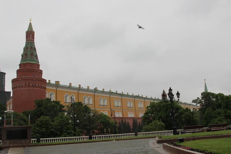 Meslek kursları Школа универсального экскурсовода, Moskova, foto