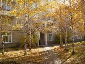 Children's Library (ulitsa Belinskogo No:11), kütüphaneler  Lesosibirsk'ten