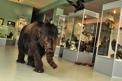 Müzeler ve sanat galerileri Муниципальное автономное учреждение культуры Билибинский районный краеведческий музей имени Г.С. Глазырина, Bilibino, foto