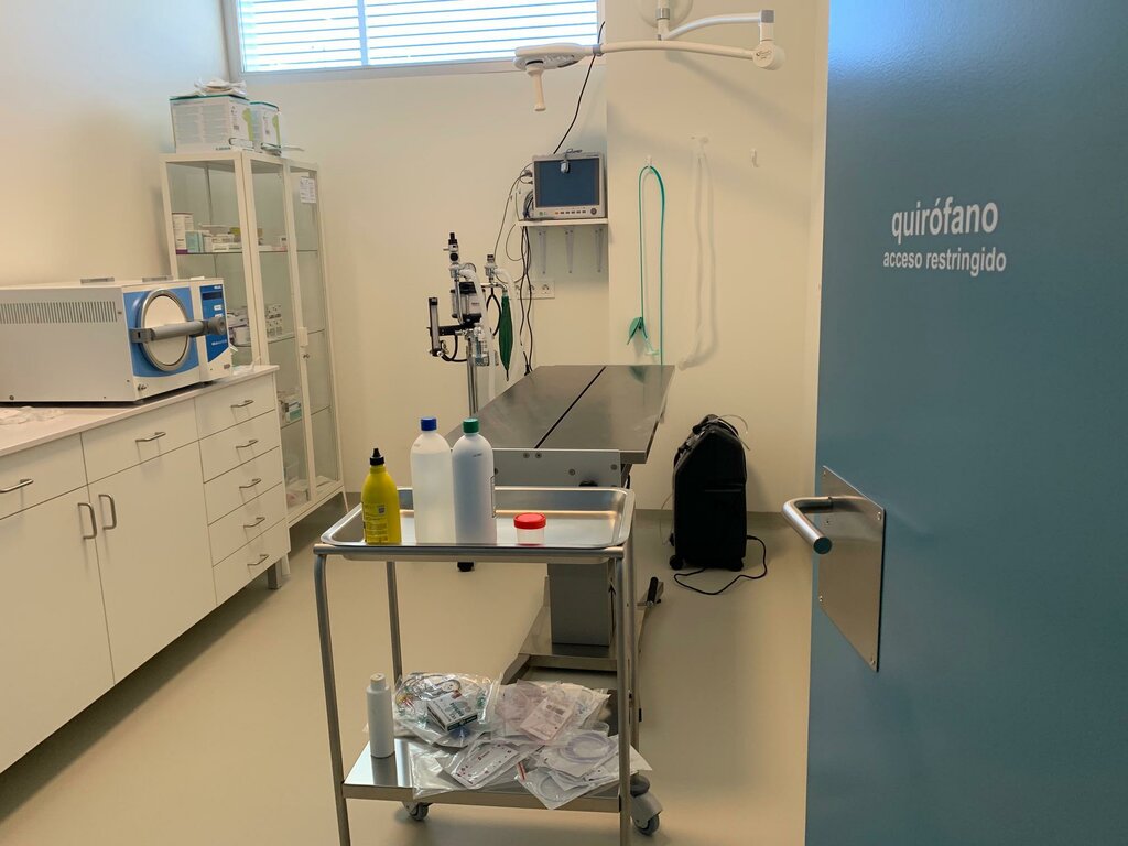 Veteriner klinikleri Clinica Veterinaria Fuentecillas, Burgos, foto