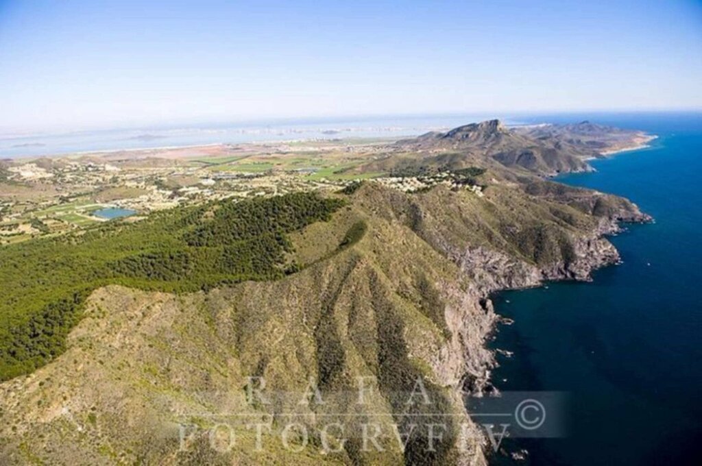 Fotoğraf malzemeleri Rafa Fotografía, Murcia, foto