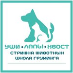Yshi Lapi Xvost (Mira Street No:80, Vladimir), evcil hayvan kuaförleri  Vladimir'den