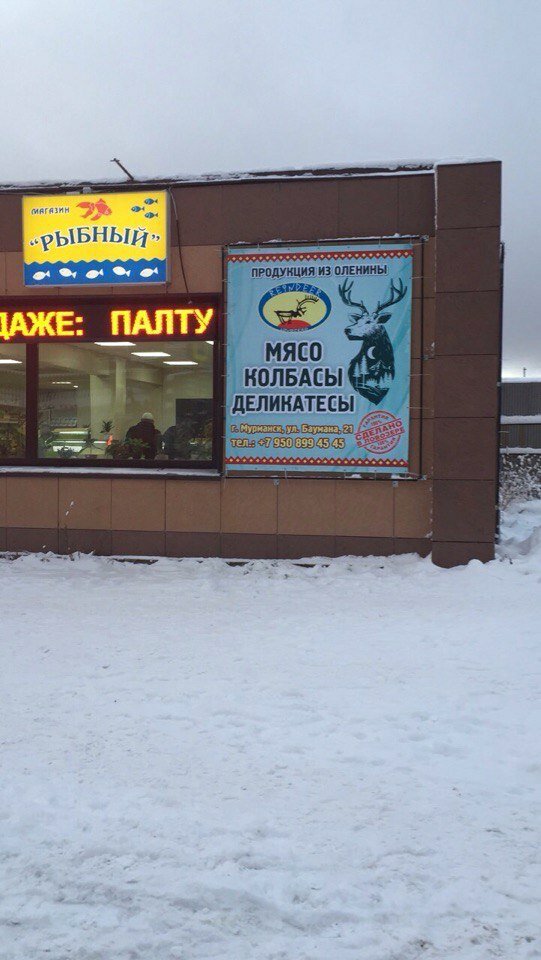 Kasap, şarküteri Reindeer, Murmansk, foto