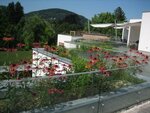Blumen und Garten Veronika Schmeikal Og (Linzer Bundesstraße No:71, Wals-Siezenheim), çiçek teslimatı  Salzburg'dan