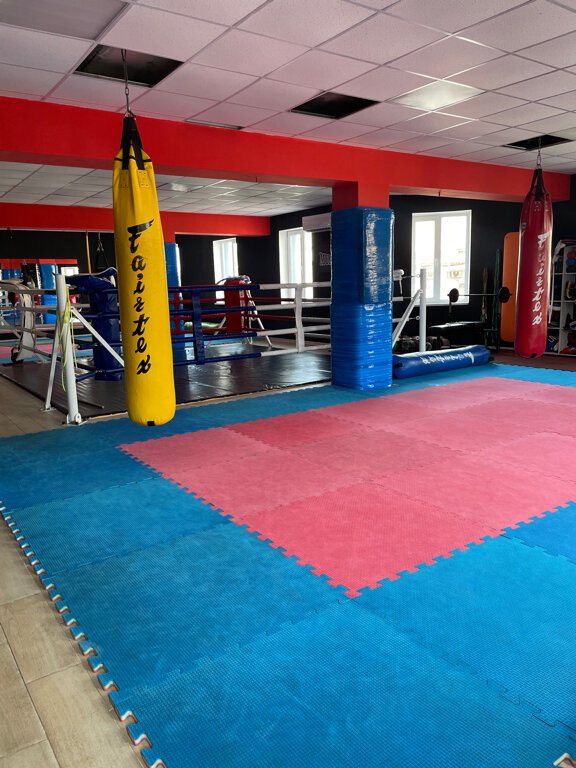 Spor kulüpleri БК Феникс, Yevpatorya, foto