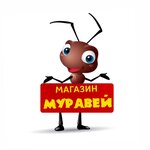 Ant (Sovetskaya ulitsa No:400), yapı mağazası  Miçurinsk'ten