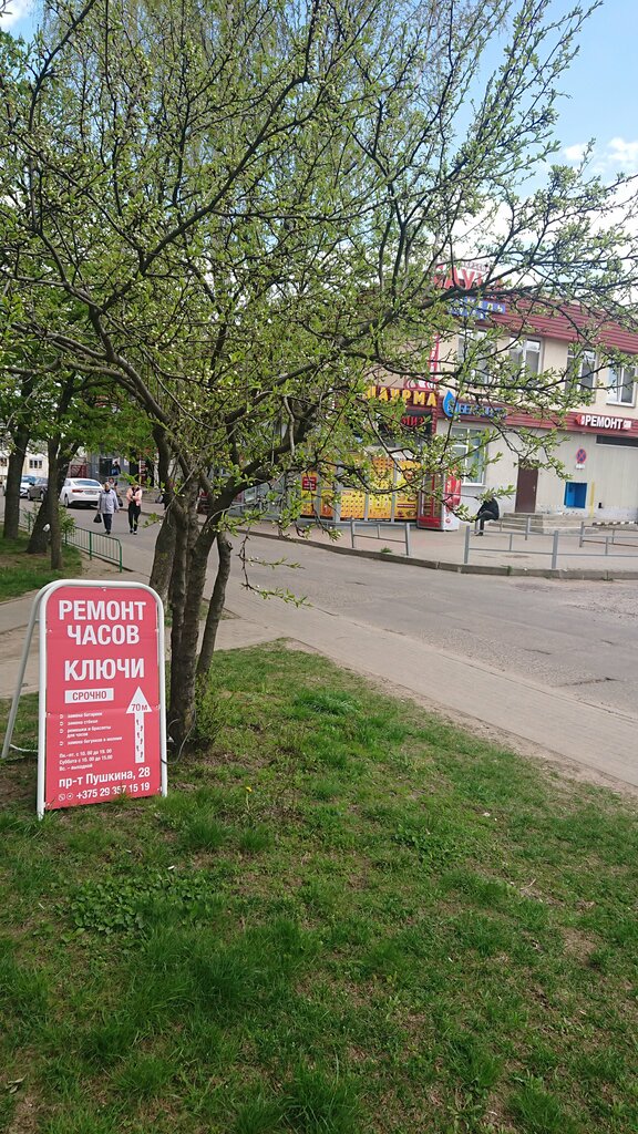 Saat tamircileri Ремонт часов, ключи срочно, Minsk, foto