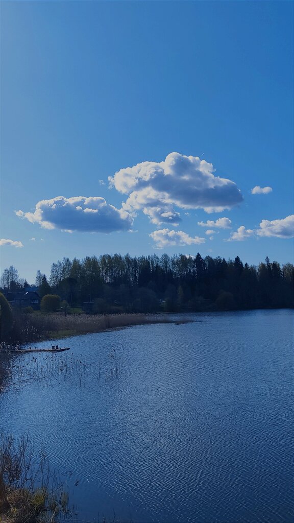 i̇skele Jetty , Novgorodskaya oblastı, foto