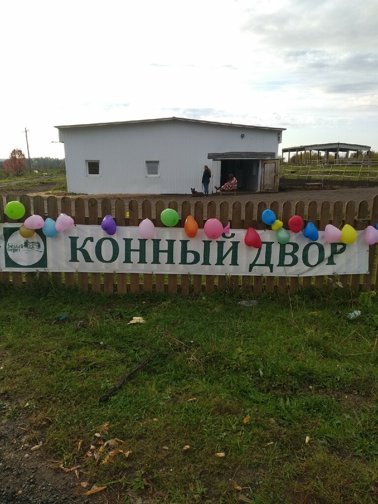 At ve binicilik kulüpleri Конный двор Белый берег, Permski krayı, foto
