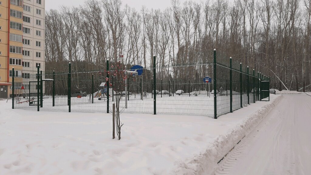 Spor alanı Баскетбольная площадка, Novosibirsk, foto