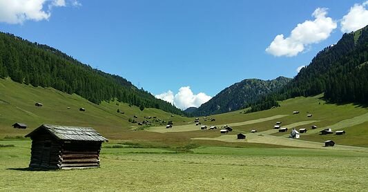 Mühendislik firmaları Leitner Barbara Mag Büro für Freilandökologie und Naturschutzplanung, Graz, foto