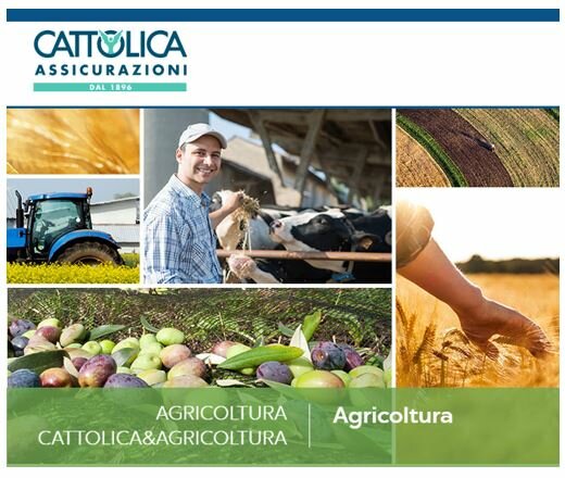 Sigorta şirketleri Cattolica Assicurazioni Consulenza Assicurativa di Bertoni Dott. Andrea e C., Emilia‑Romagna, foto