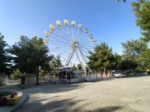 Ferris Wheel (Andijan), atraksiyon  Andican'dan