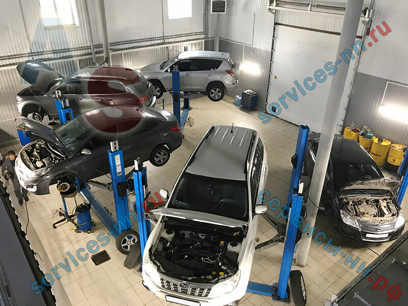 i̇nternet portalları Services-NN, Nijni Novgorod, foto