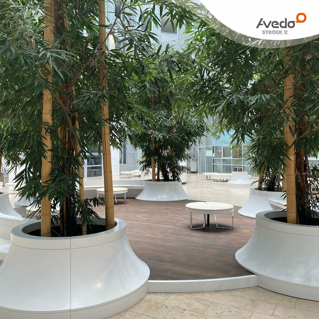 Avedo Berlin, call center, Berlin, Torstraße, 49 — Yandex Maps