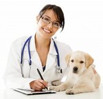 MVDr. Soukup - Veterinární Lékař (Ústecký kraj, Usti nad Labem, V Pruceli), petshop  Usti nad Labem'den
