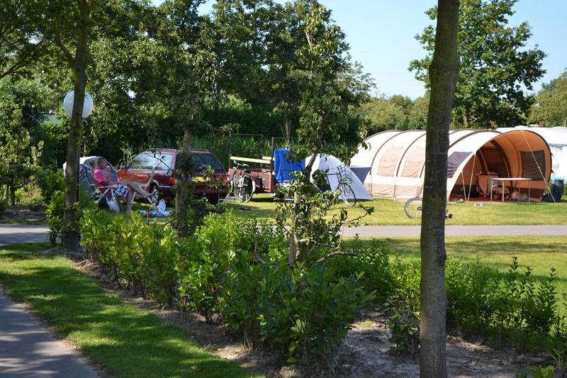 Kamp alanları Camping In de Bongerd, Zeeland, foto