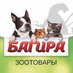 Bagira (Chernyshevskogo Street No:11), petshop  Yartsevo'dan
