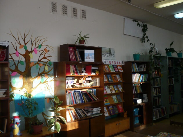 Kütüphaneler Бурмакинская сельская библиотека, Yaroslavskaya oblastı, foto