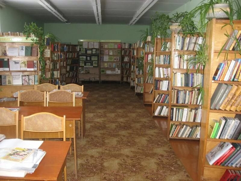 Kütüphaneler Борковская сельская библиотека-филиал, Lipetskaya oblastı, foto