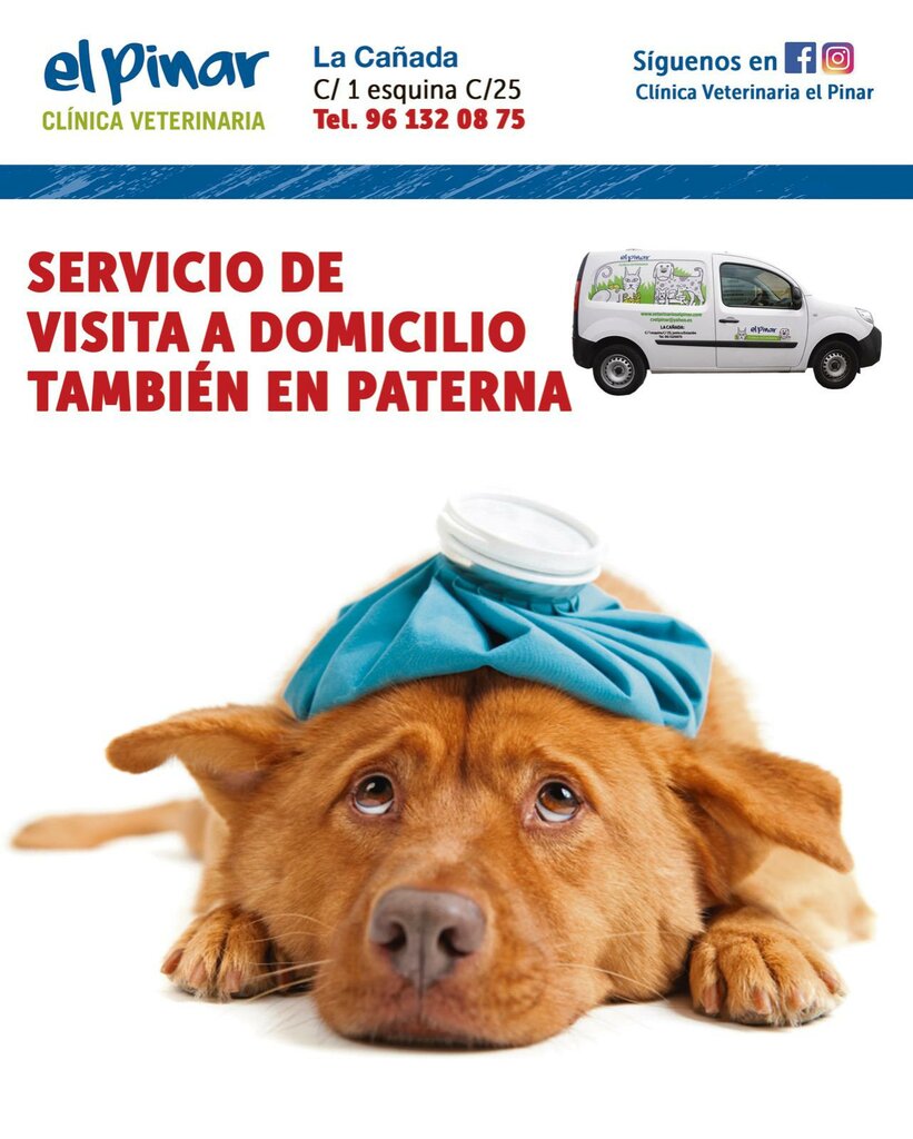 Veteriner klinikleri Clínica Veterinaria El Pinar, Valensiya, foto