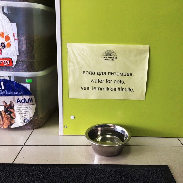 Petshop Schastlivy pitomets, Saint‑Petersburg, foto