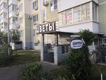 Tsvety (ulitsa imeni Nikolaya Semenovicha Kotlyarova No:10, Prikubanskiy City administrative district, mikrorayon Moskovskiy), çiçekçiler  Krasnodar'dan