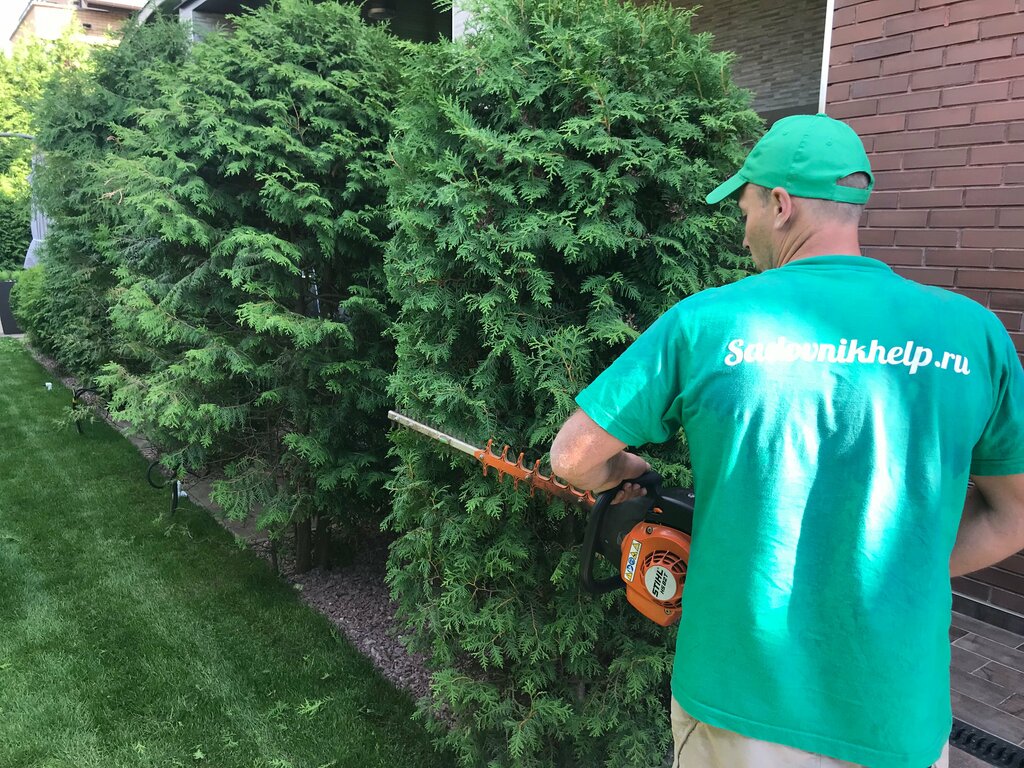 Peyzaj tasarımı Sadovnikhelp.ru, Moskova ve Moskovskaya oblastı, foto