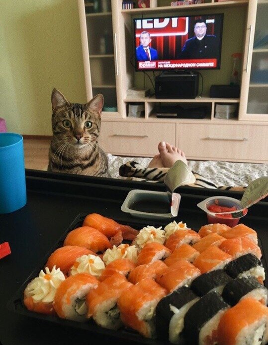Suşi restoranı Sushi-Market, Kineşma, foto