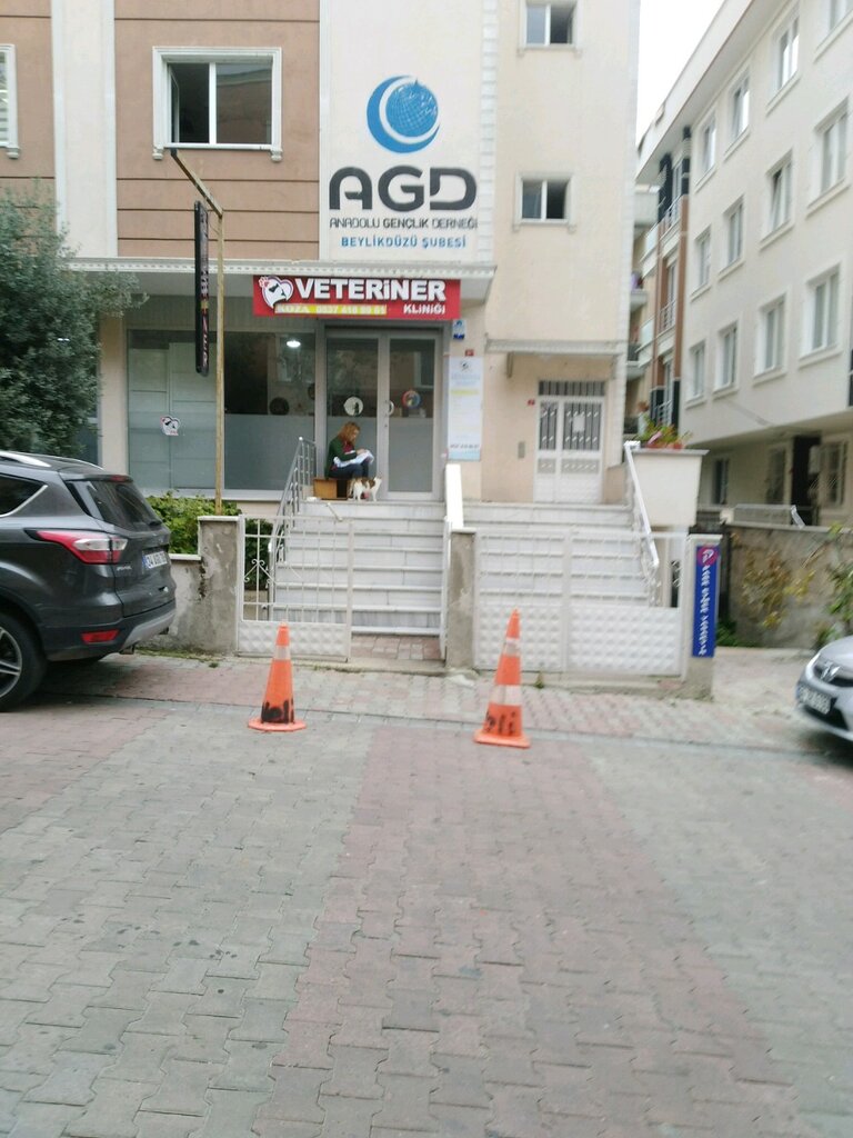 Veteriner klinikleri Yakupluveteriner, İstanbul, foto