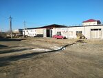 Tin-tin (Bukhara, Makhmud Kashghari Street), haşere ilaçlama firmaları  Buhara'dan