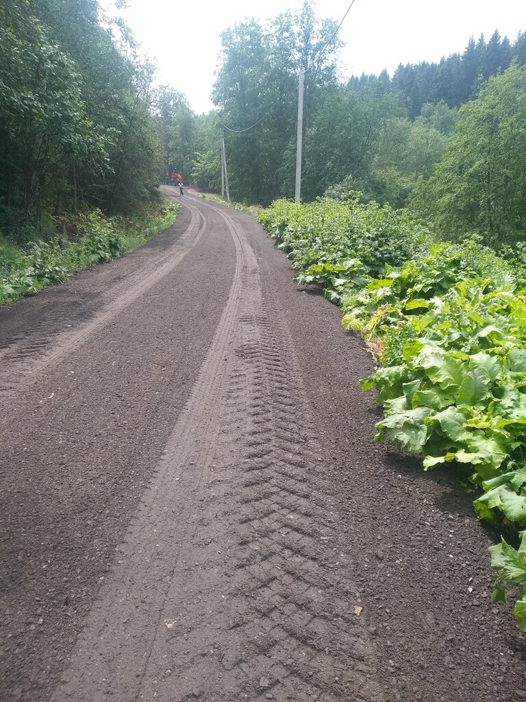 Bahçecilik dernekleri ve kuruluşları СНТ Березка, Moskova ve Moskovskaya oblastı, foto