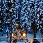 A house in the forest (Alanskaya Street No:25, Resort Settlement of Dombay), resort oteller, tesisler  Karaçay‑Çerkez Cumhuriyeti'nden